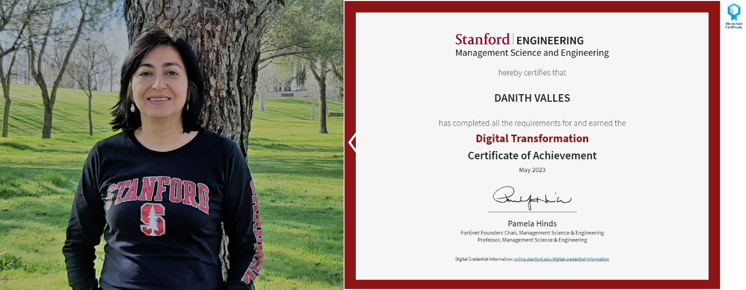 My Professional Gallery – Danith Valles